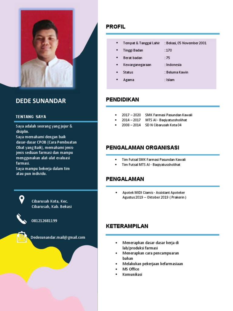 CV Dede Sunandar | PDF