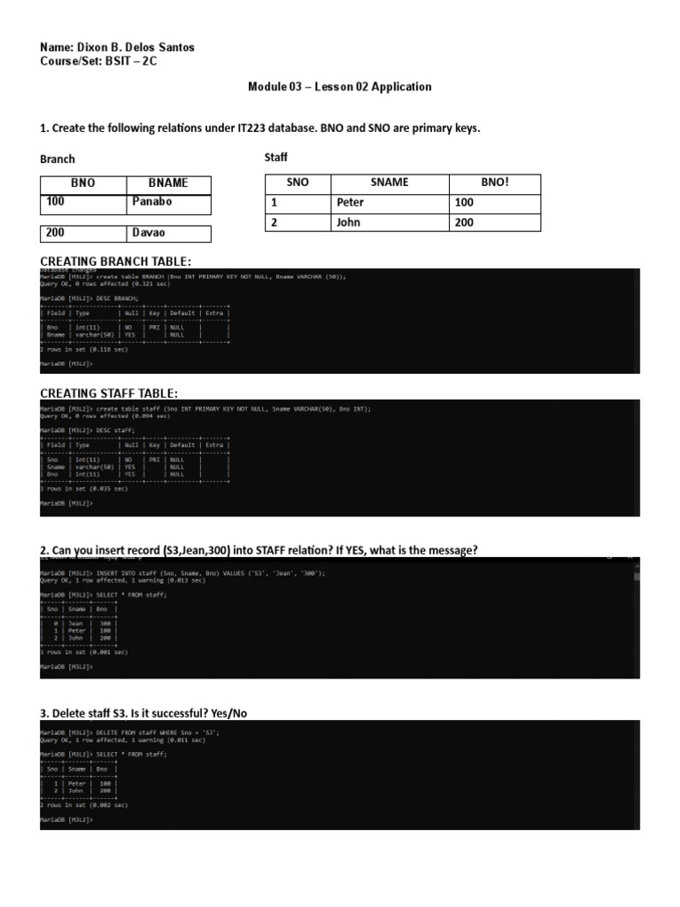 IT223-BSIT2C-Delos Santos-Module 03-Lesson 02 (Application) | PDF ...