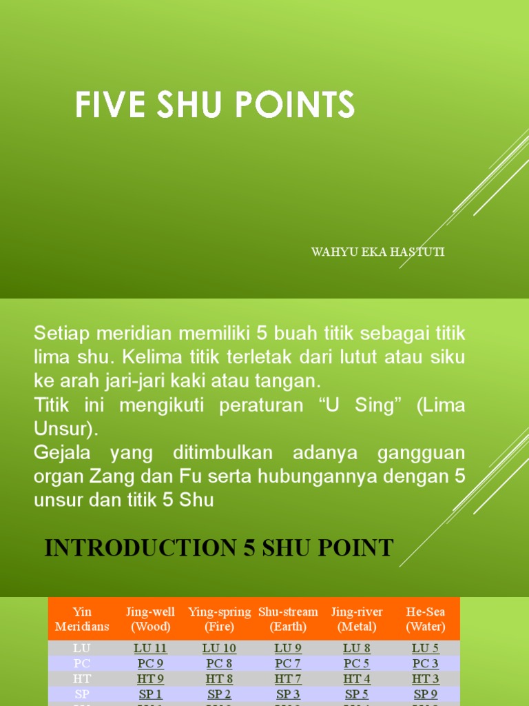 5 Shu Point | PDF