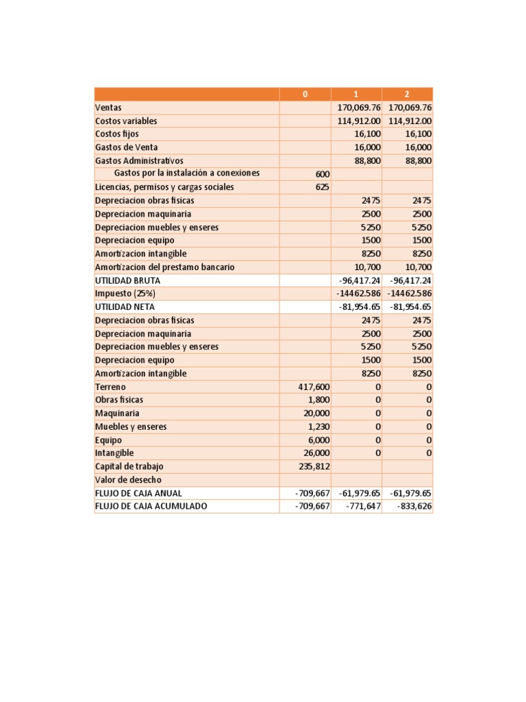 Flujo de Caja | PDF | Depreciación | Economias