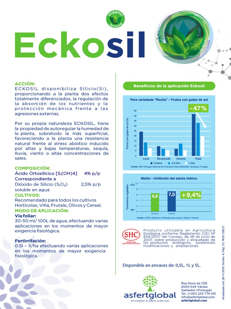 FT Eckosil ES PDF | PDF | Entorno natural | Naturaleza