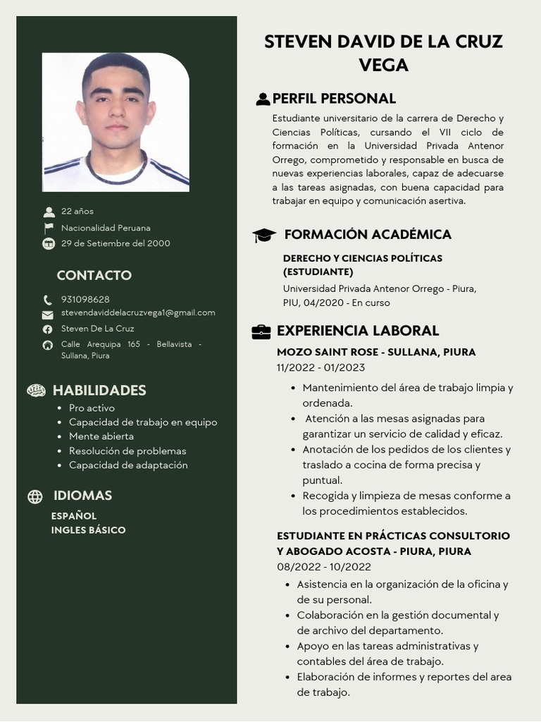 CV Steven 2023 | PDF