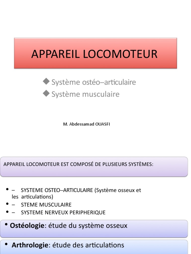 Anatomie et Fonction de l'Appareil Locomoteur | PDF | Os | Articulation ...