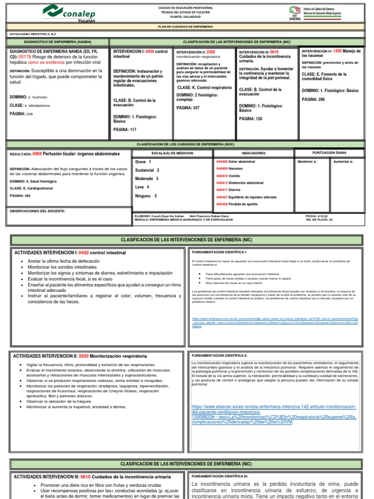 PAE HEPATITIS | PDF | Heces | Diarrea