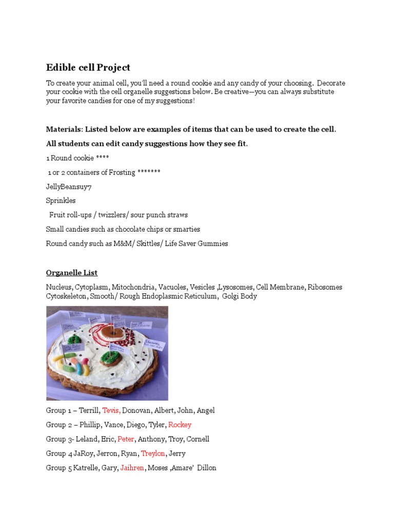 1st Block Edible Cell Project | PDF