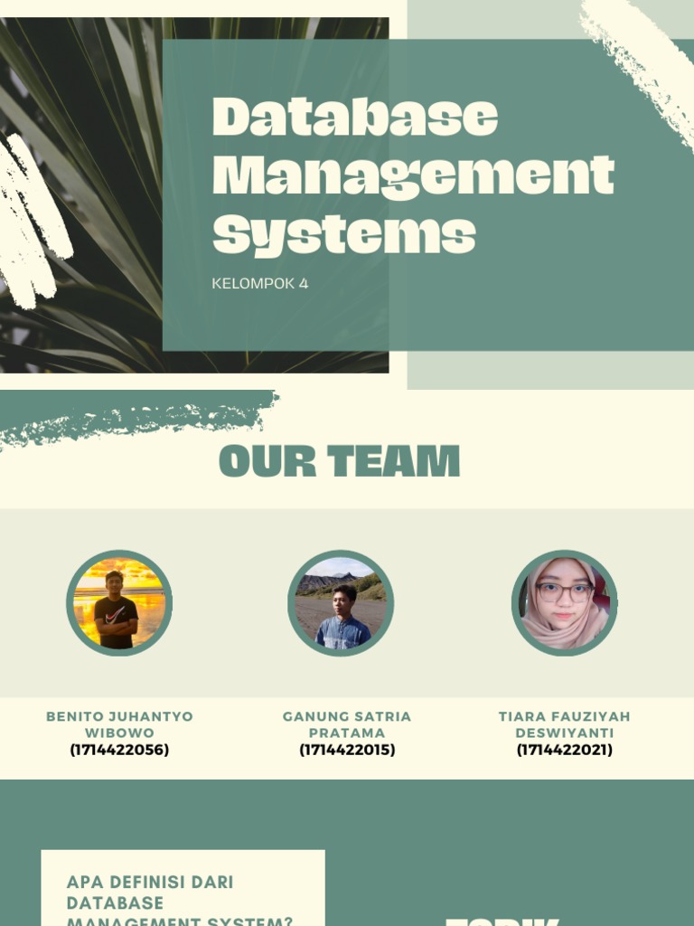 Kel.4 - Database Management System (DBMS) | PDF