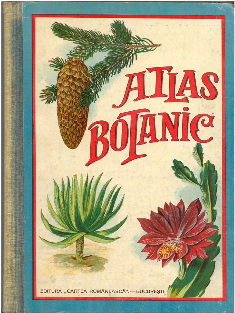 Atlas Botanic 1930 PDF | PDF