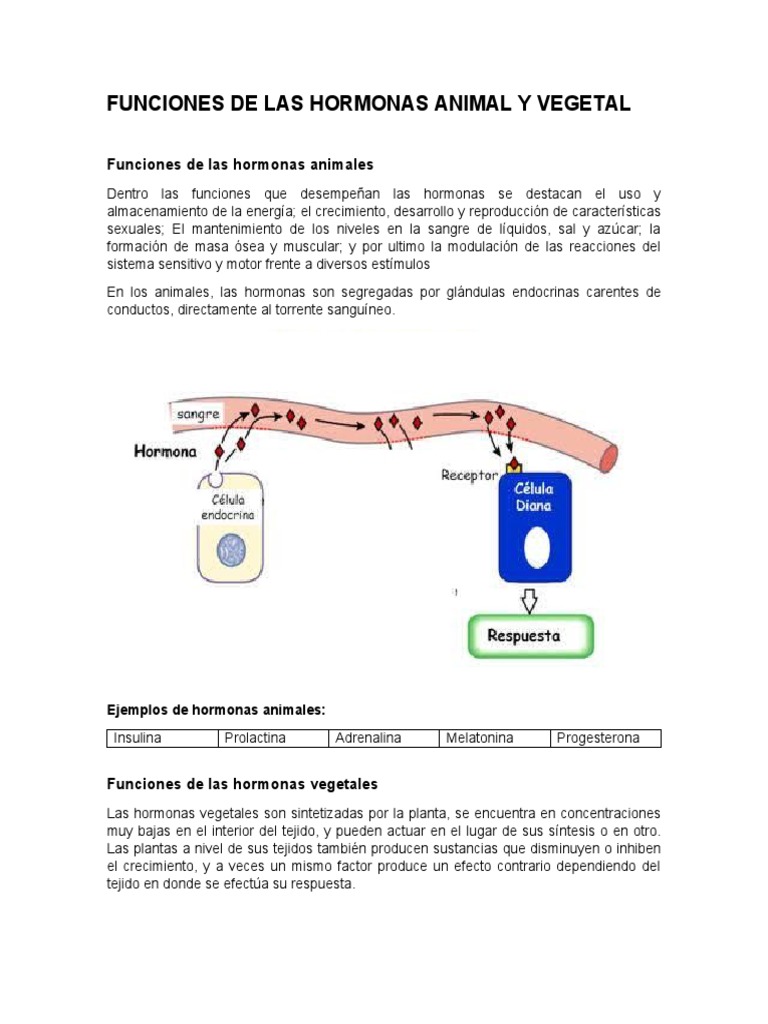 FUNCIONES DE LAS HORMONAS ANIMAL Y VEGETAL | PDF