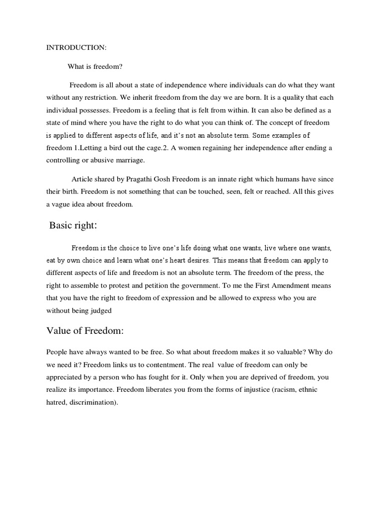 Freedom Essay | PDF