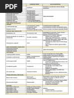 IV Insertion Checklist Competency | PDF | Intravenous Therapy | Health ...