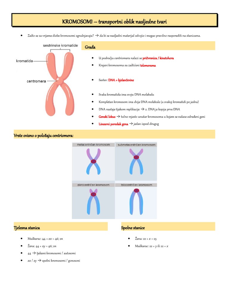 KROMOSOMI | PDF