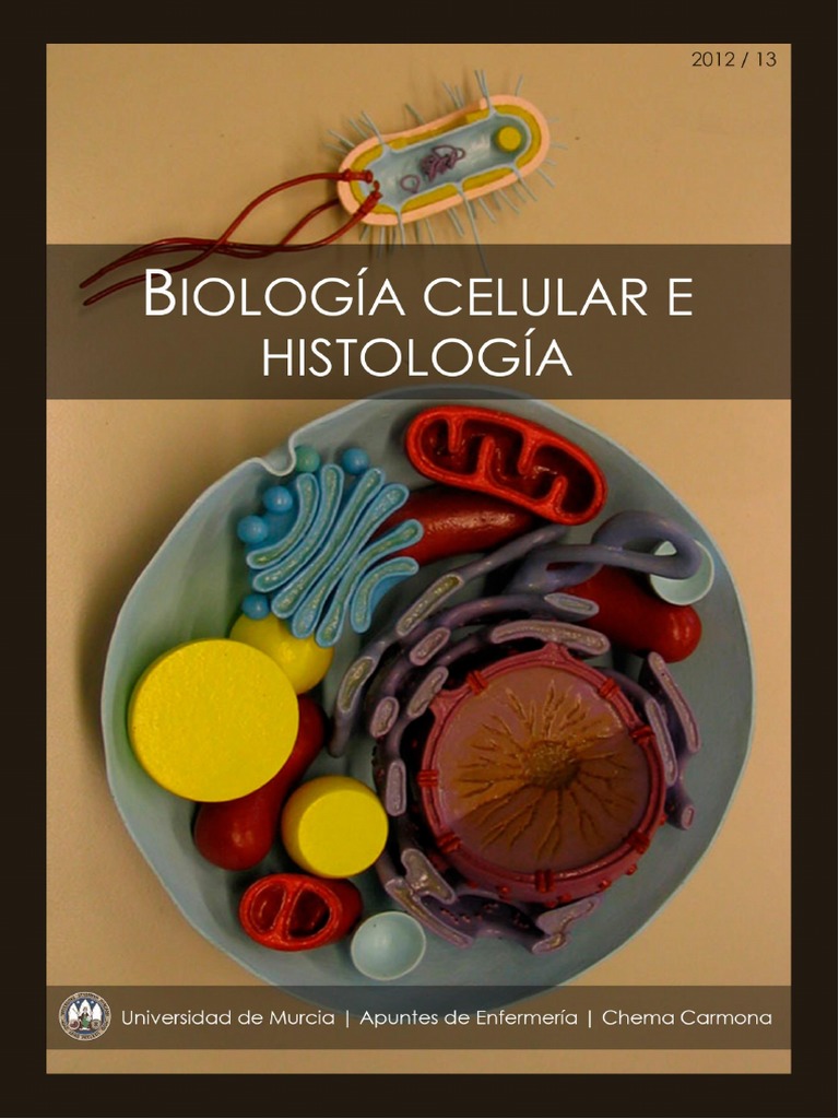 Biologia Celular e Histologia PDF | PDF | Hueso | Epitelio