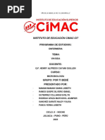 Flevomax 500mg Prospecto | PDF | Amamantamiento | El embarazo