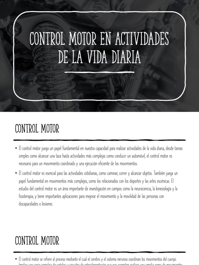 Control Motor en la Vida Diaria | PDF | Cerebro | Realimentación