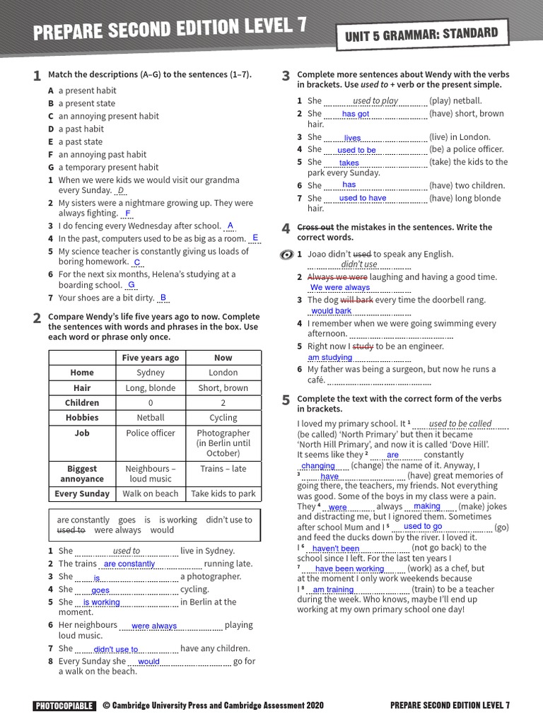 English Voluntary Excersises Unit 5 | PDF | Syntax | Grammar