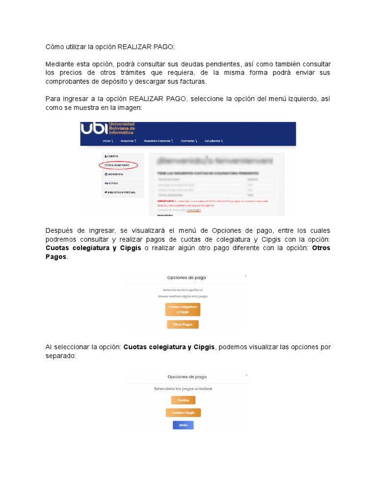 Tutorial Pagos Estudiante PDF | PDF