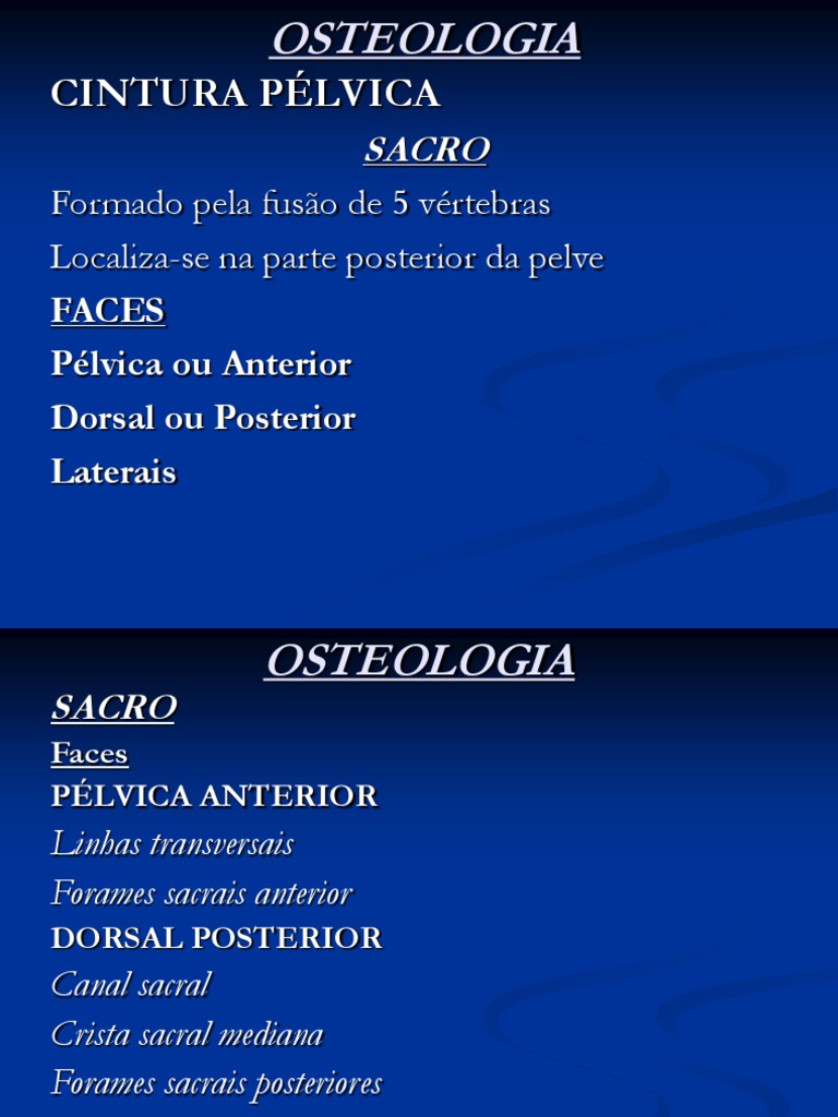Anatomia do osso sacro e suas características | PDF