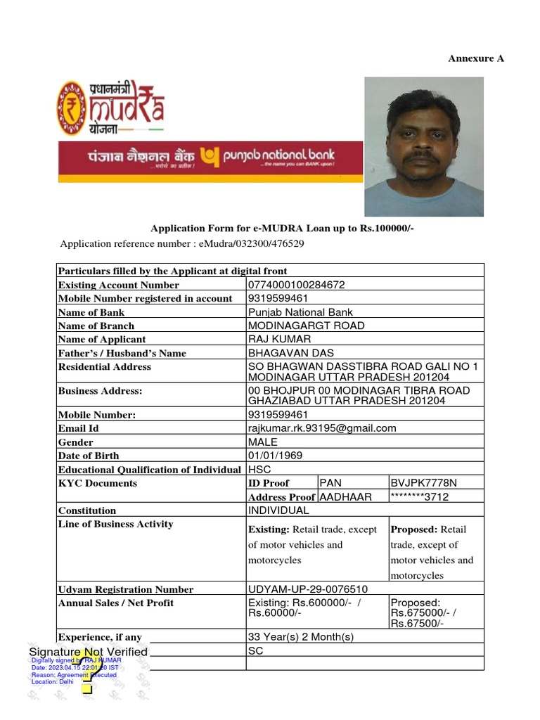 PNB e-MUDRA Loan Application Form | PDF | Banks | Loans