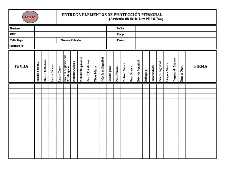 Registro Entrega - EPP | PDF