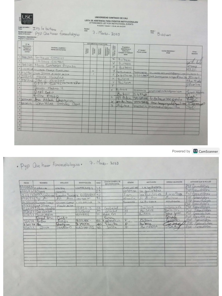 Pyp en Fonoaudiologia | PDF