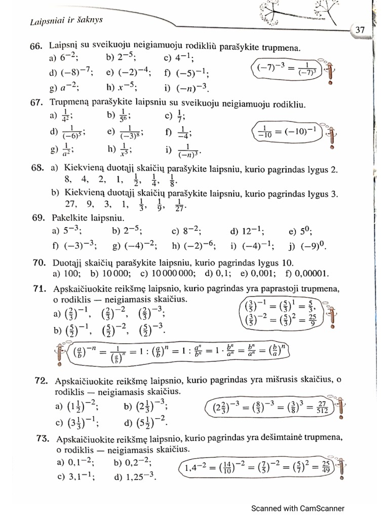 Laipsniai Su Neigiamu Rodikliu | PDF