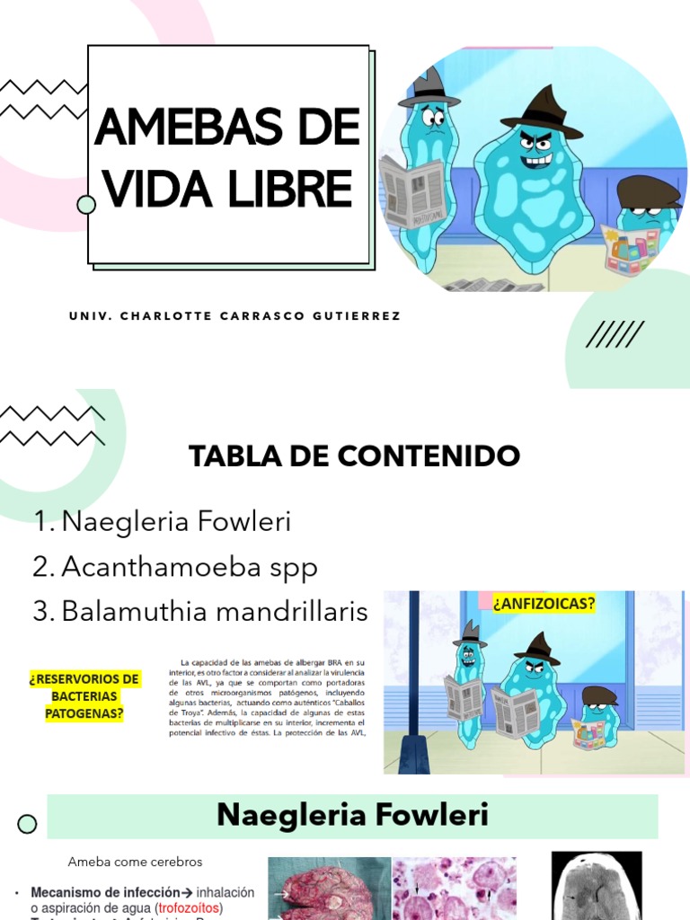 Semana 3 - Amebas de Vida Libre - SNC I PDF | PDF | Microbiología | Inmunología