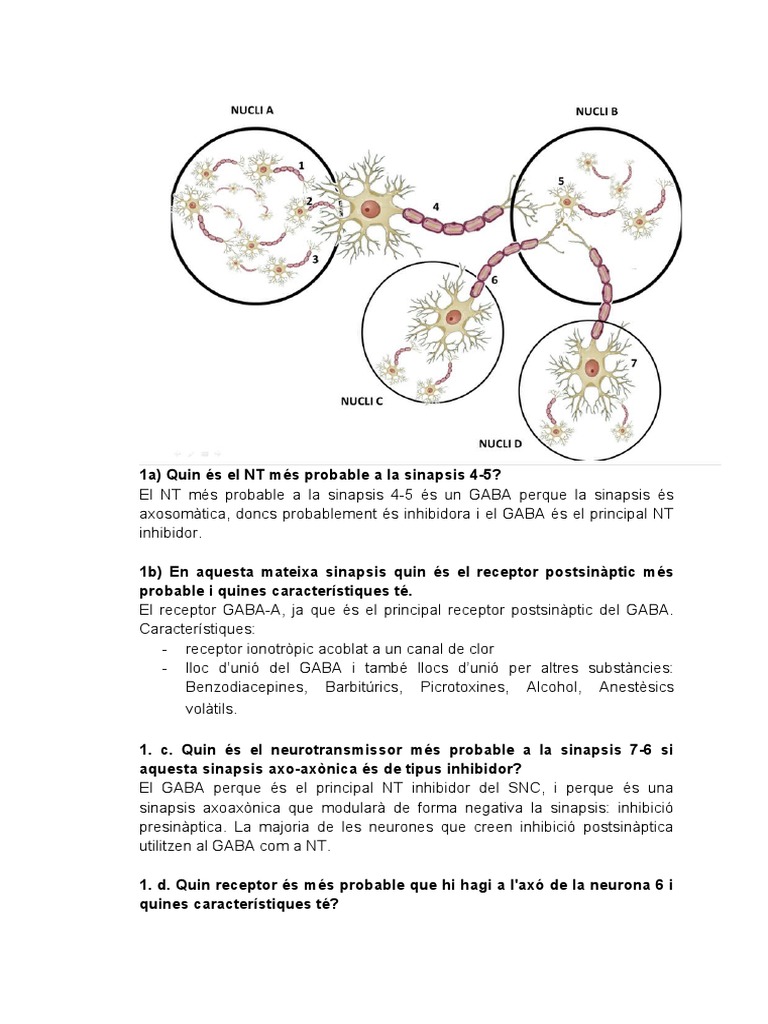 Pràctica Bio NT | PDF