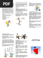 1 Triptico Tema Ergonomia | PDF