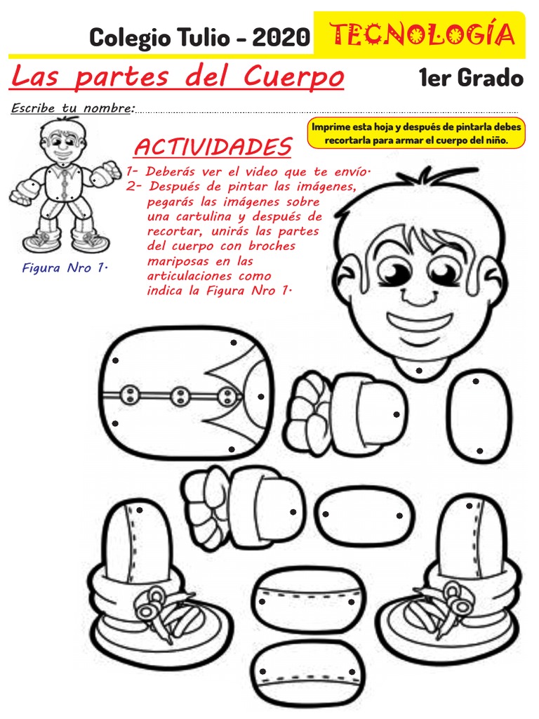 1er Grado LAS PARTES DEL CUERPO | PDF