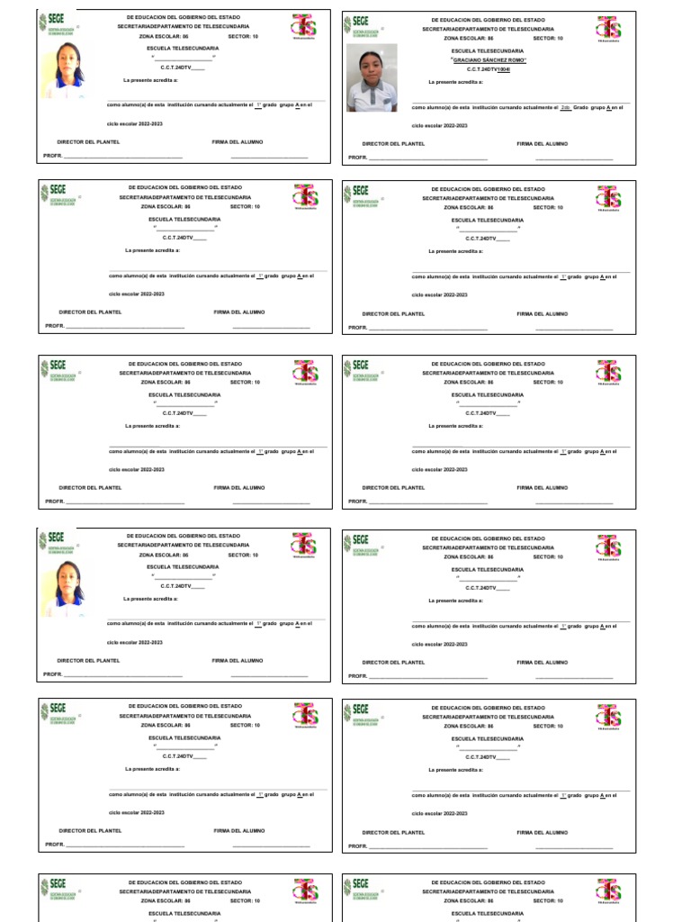 Formato Credencial | PDF