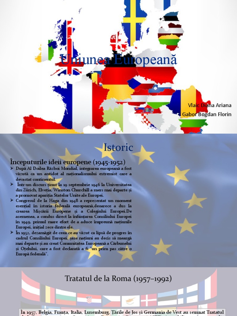 Proiect Ue | PDF