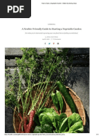 Asexual Reproduction | PDF | Potato | Organisms