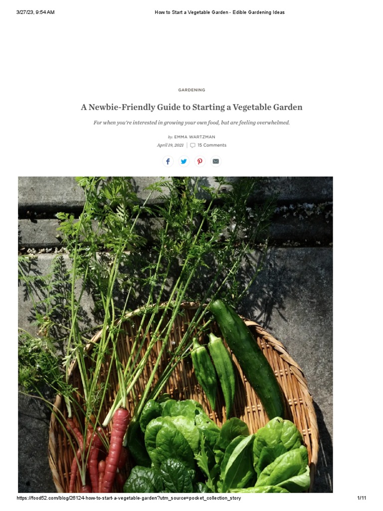 How To Start A Vegetable Garden - Edible Gardening Ideas | PDF | Tomato ...