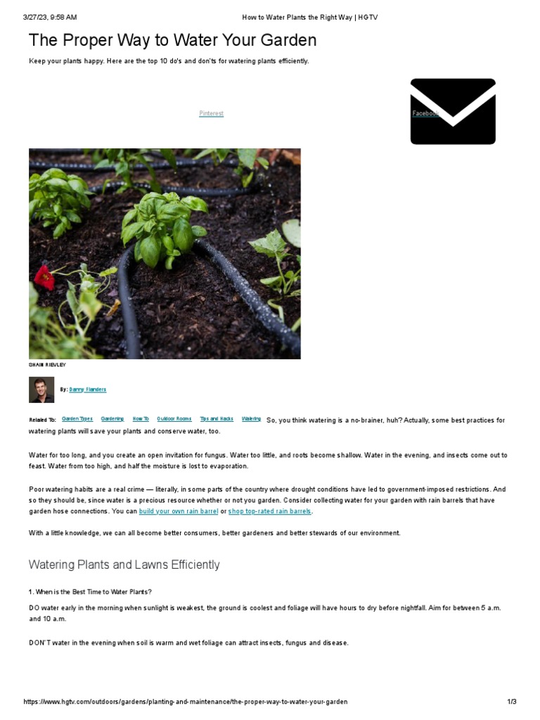 Efficient Plant Watering Techniques | PDF | Irrigation | Mulch