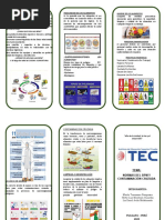 Tríptico Cultura de Inocuidad | PDF | Alimentos | Seguridad alimenticia