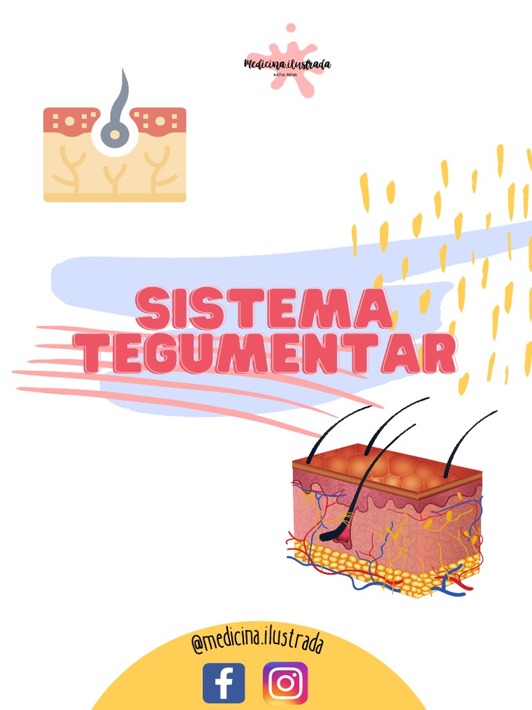 Fichas Sistema Tegumentar PDF | PDF