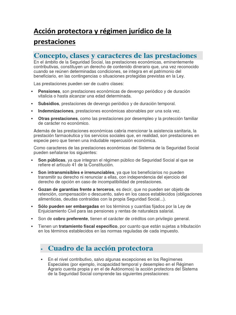 Acción protectora y régimen jurídico de la prestaciones | PDF | Pensión ...