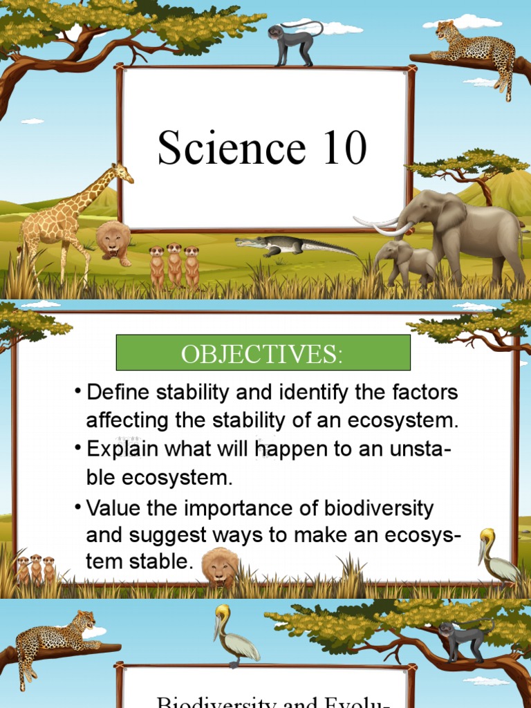 Science 10 Stability | PDF