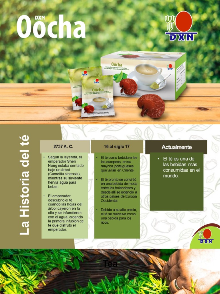 Oocha DXN | PDF