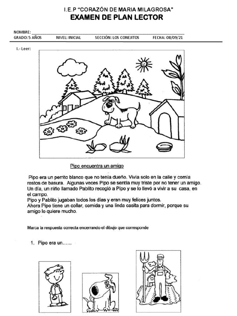 Examen de Plan Lector | PDF