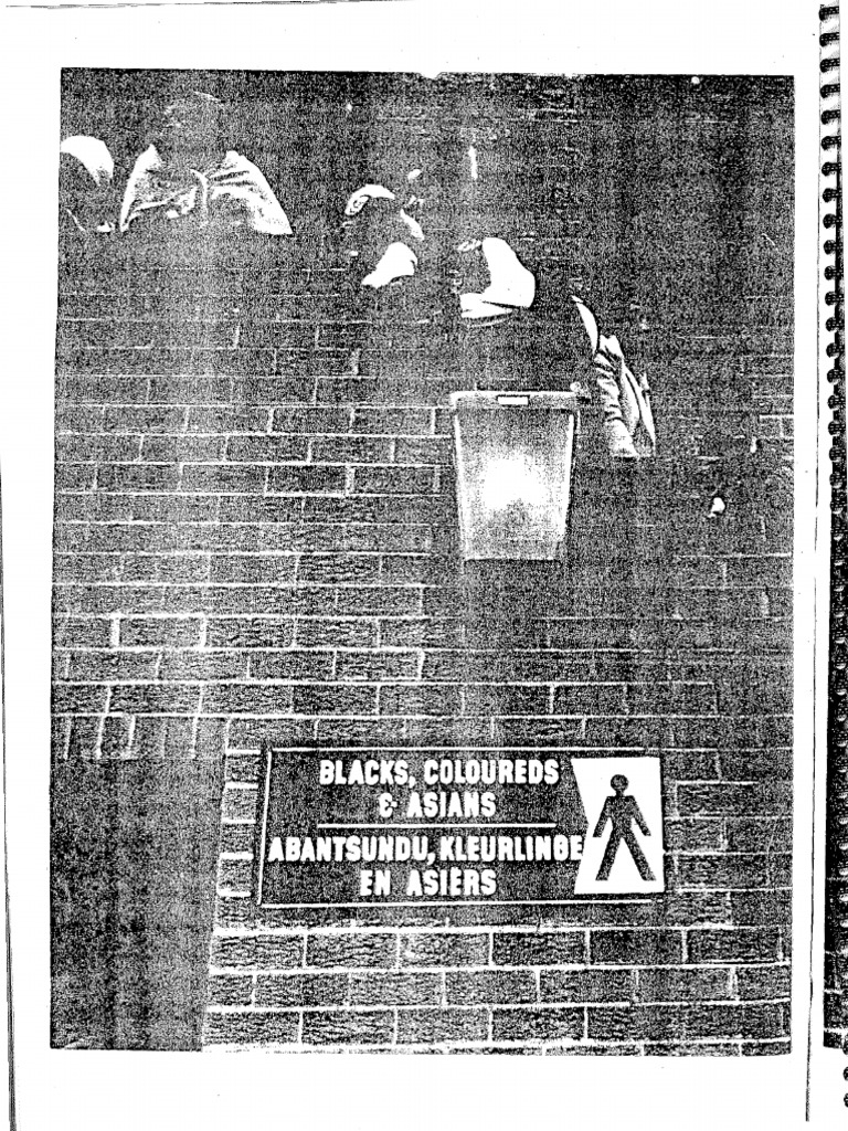 Capitulo 8 (1).pdf | PDF | Estatus social | Estratificación social