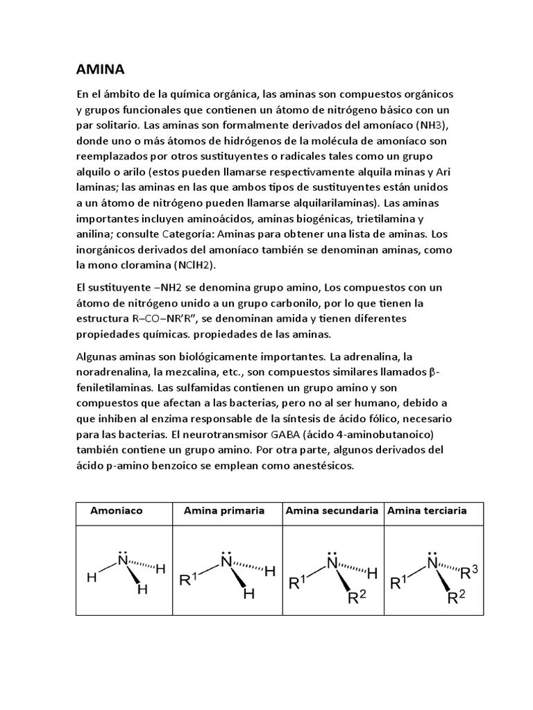 AMINA | PDF | Amina | Ácido