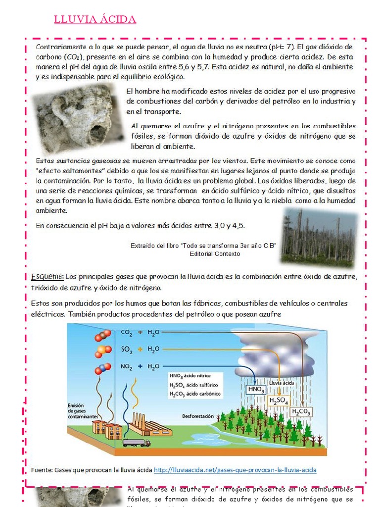 Efectos de la Lluvia Ácida en el Ambiente | PDF