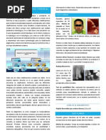 Oclusion Fosa Cuspide | PDF | Anatomia dental | Diente