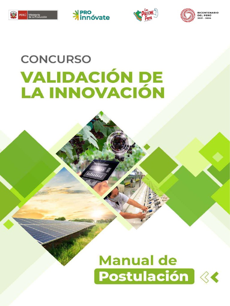 Manual de Postulación de Validación Innov Conv2 BID4 PDF | PDF ...
