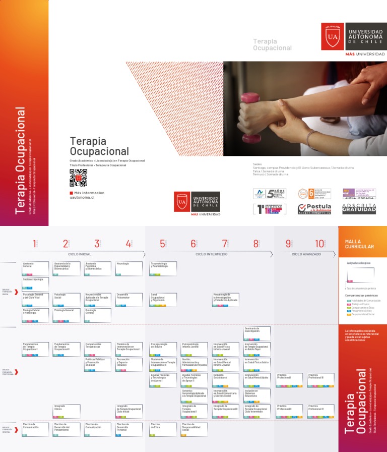 Terapia-Ocupacional Malla | PDF