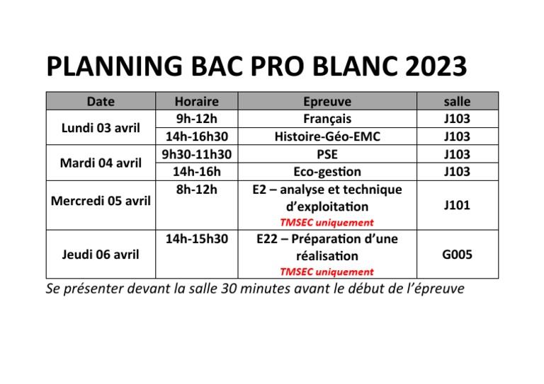 Planning Bac Pro Blanc 2023 | PDF