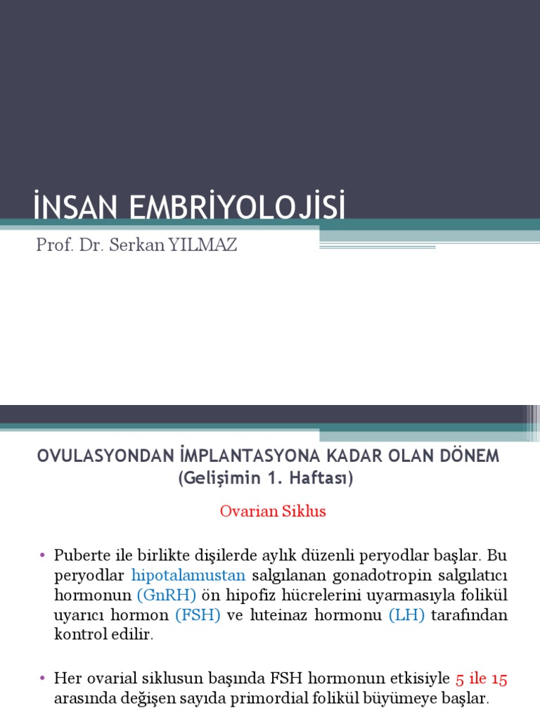 Embriyoloji 3. Hafta | PDF
