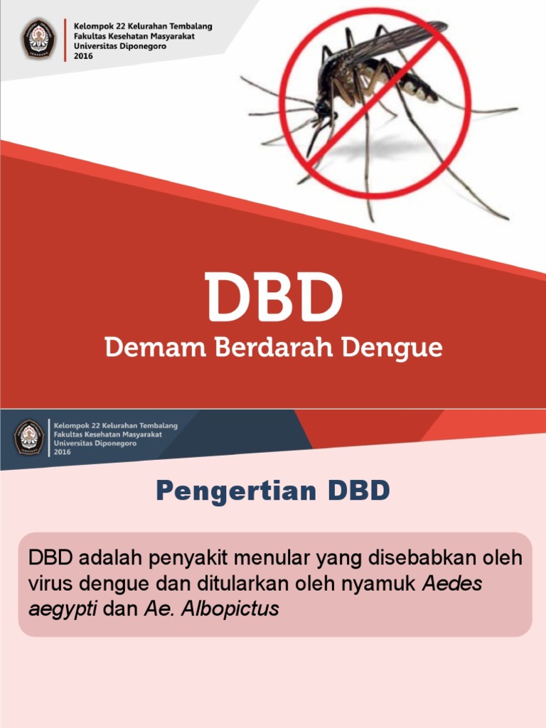 Panduan Lengkap DBD dan Pengendaliannya | PDF