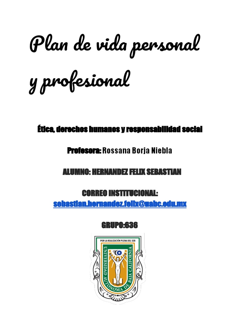 Plan de Vida: Metas y Visión Profesional | PDF | Sustentabilidad ...